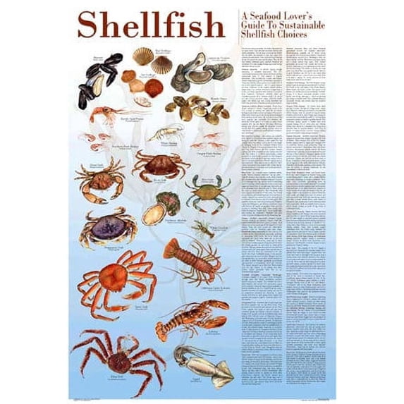 Seafood Poster and Guide To Sustainable Shellfish - Walmart.com