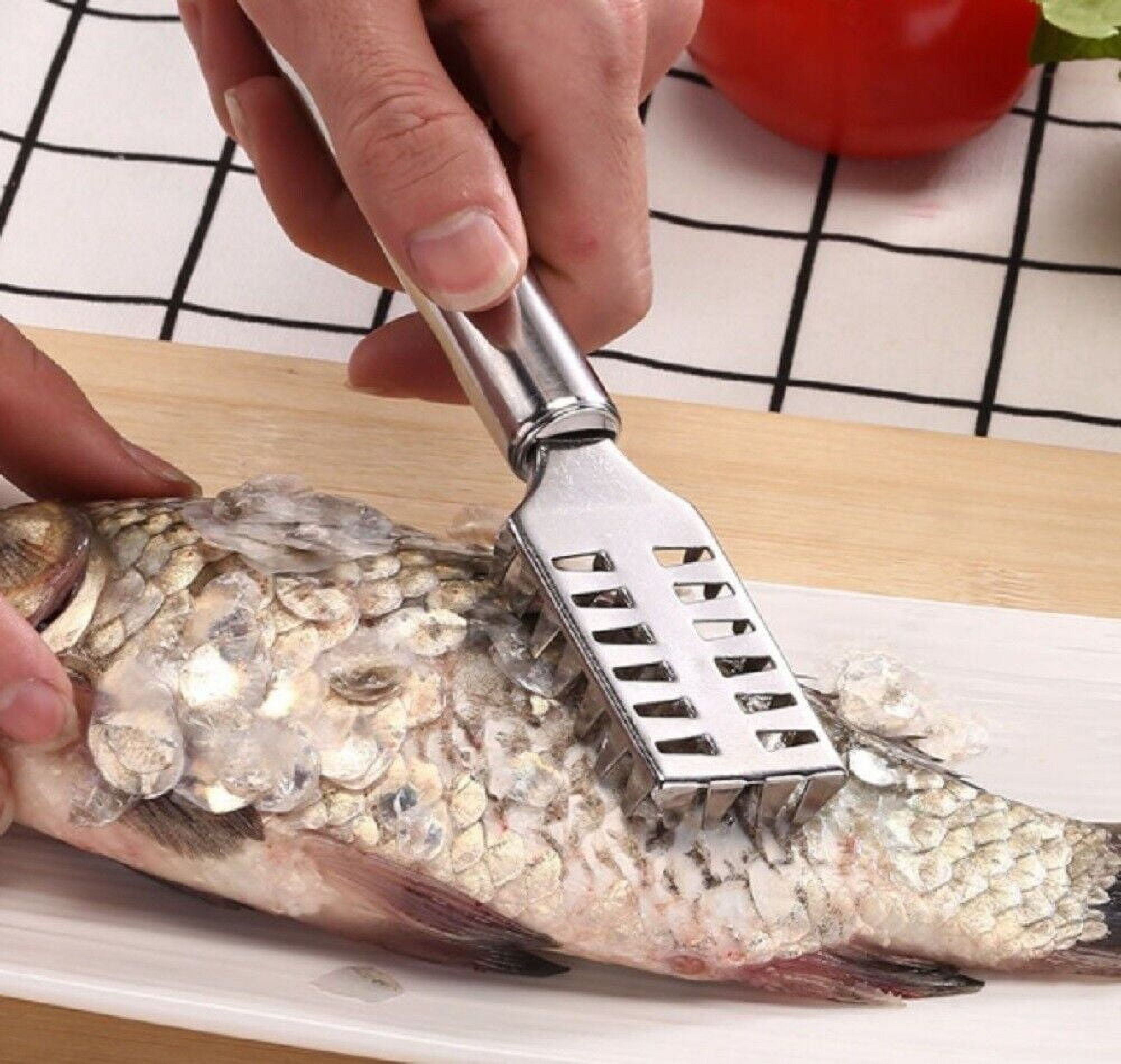 Seafood Processing Tools Stainless Steel Fish Scaler – Scaling Knife ...
