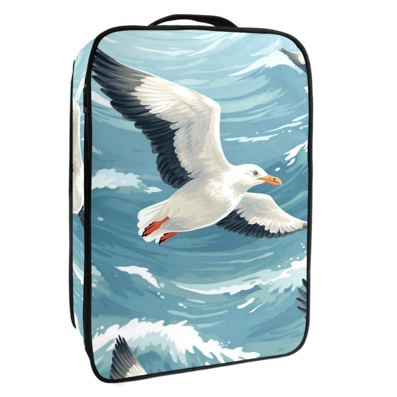 Seagull Clear Polyester Shoe Containers - - 23x31cm/9x12in Shoe Storage ...