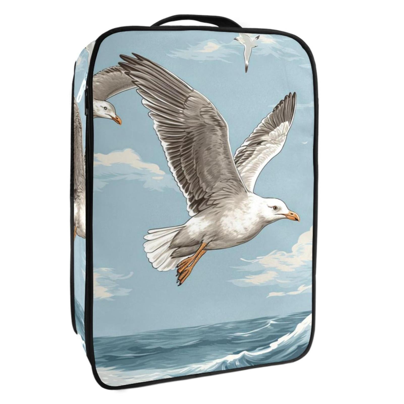 Seagull Clear Polyester Shoe Containers - - 23x31cm/9x12in Shoe Storage ...