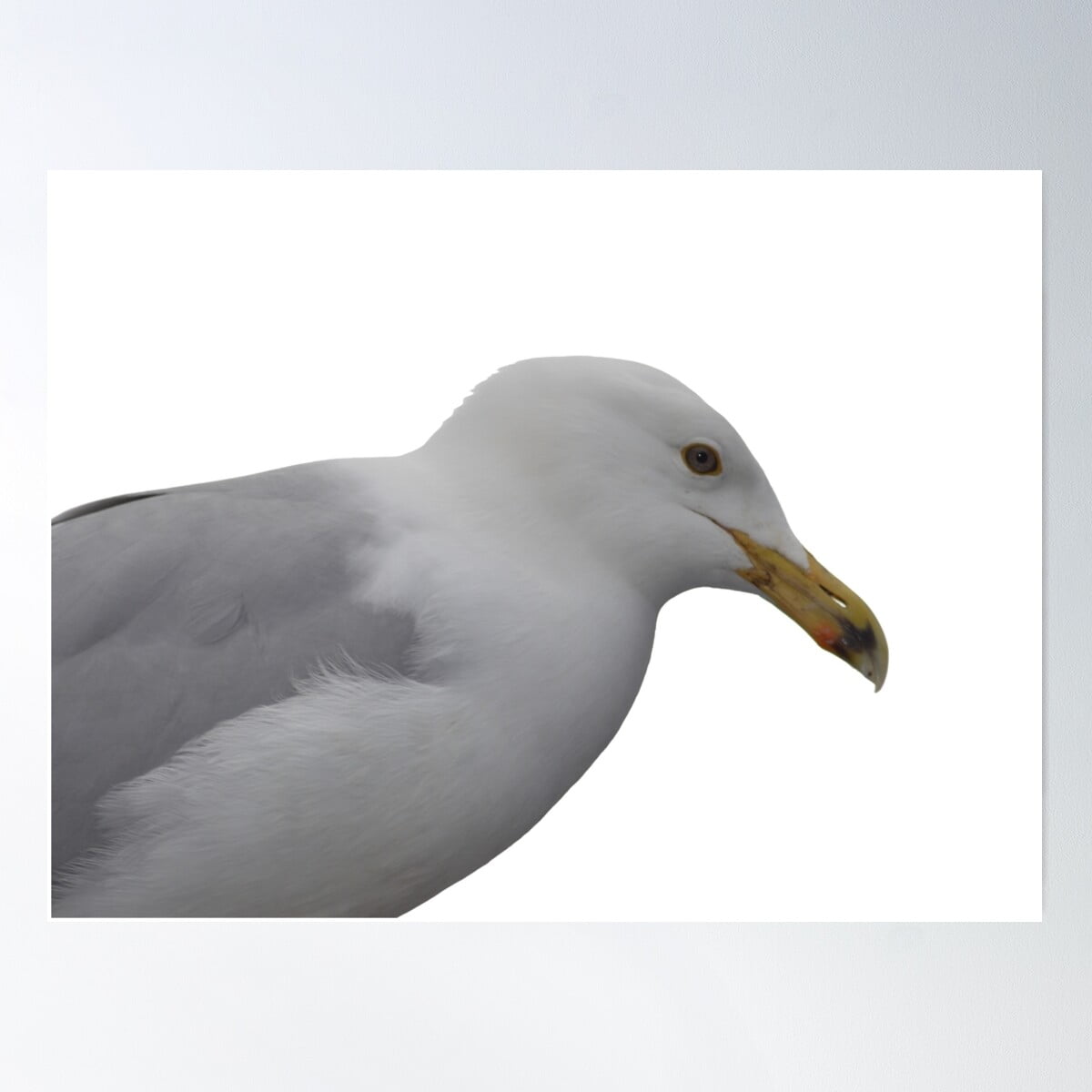 Seagull/ Gul Poster Wall Art, Modern Wall Decor For Living Room Bedroom ...
