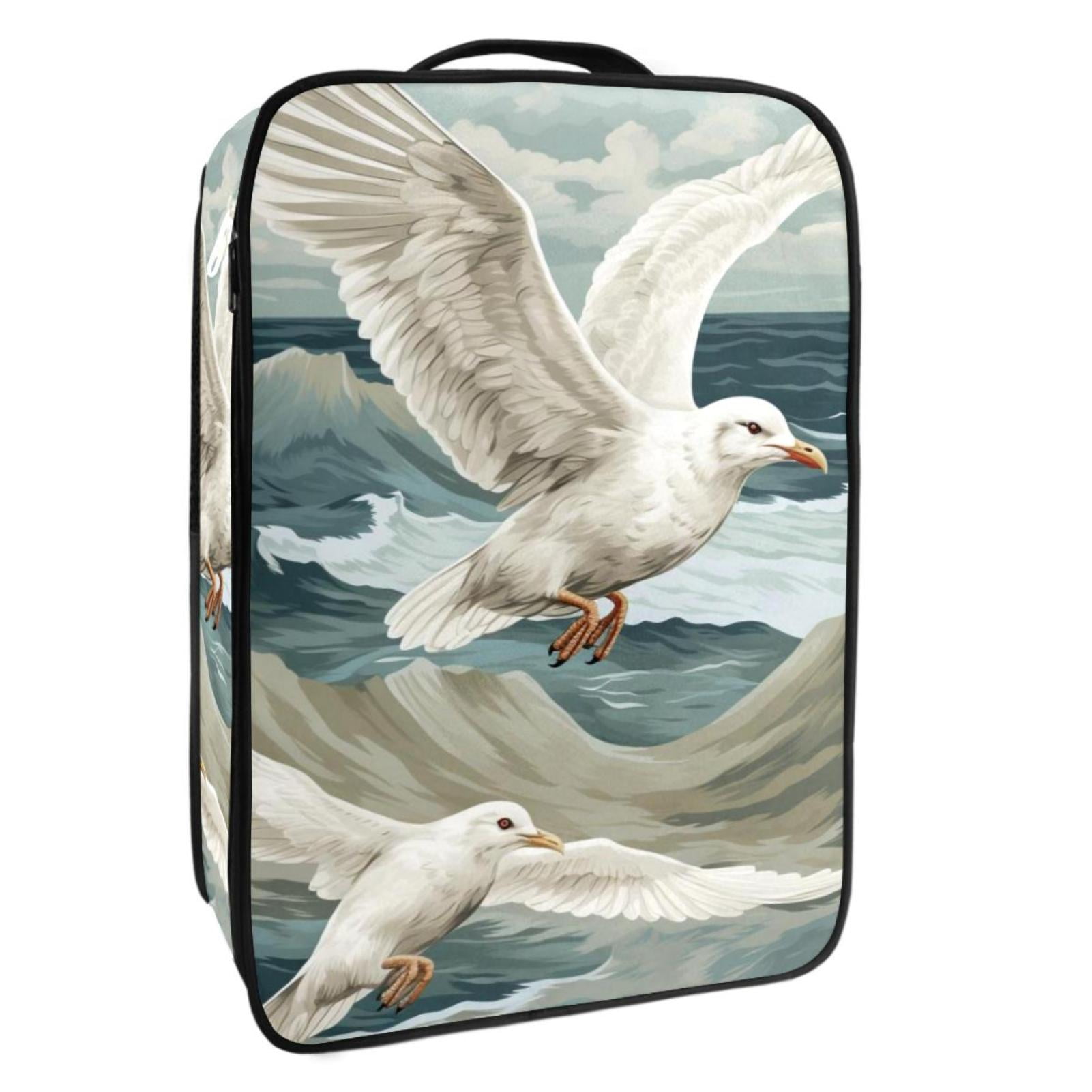 Seagull Polyester Shoe Boxes - 23x31cm/9x12in Size for Organization and ...
