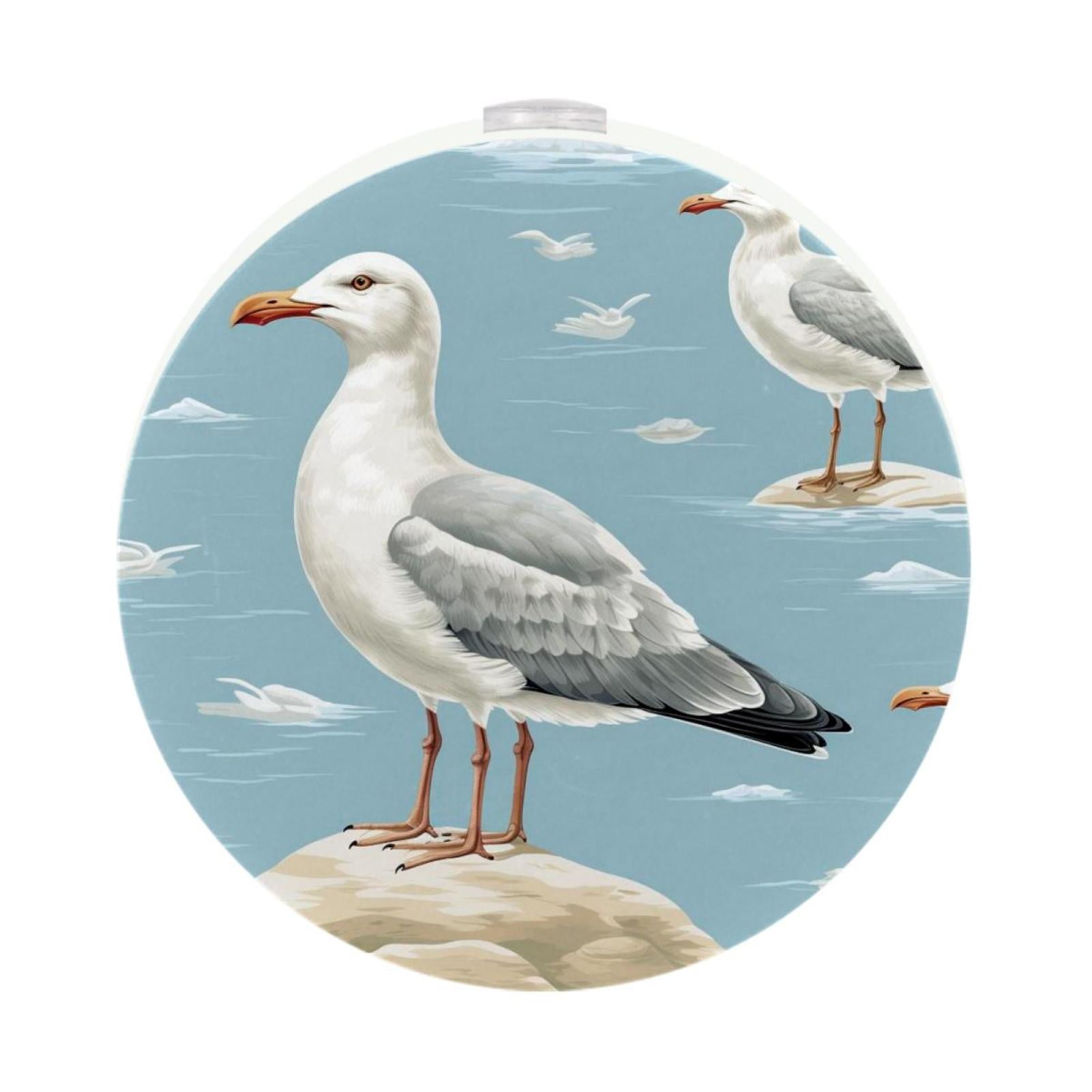 Seagull Round LED Night Light-2PCS Set for Bedroom, Bathroom, Kitchen ...