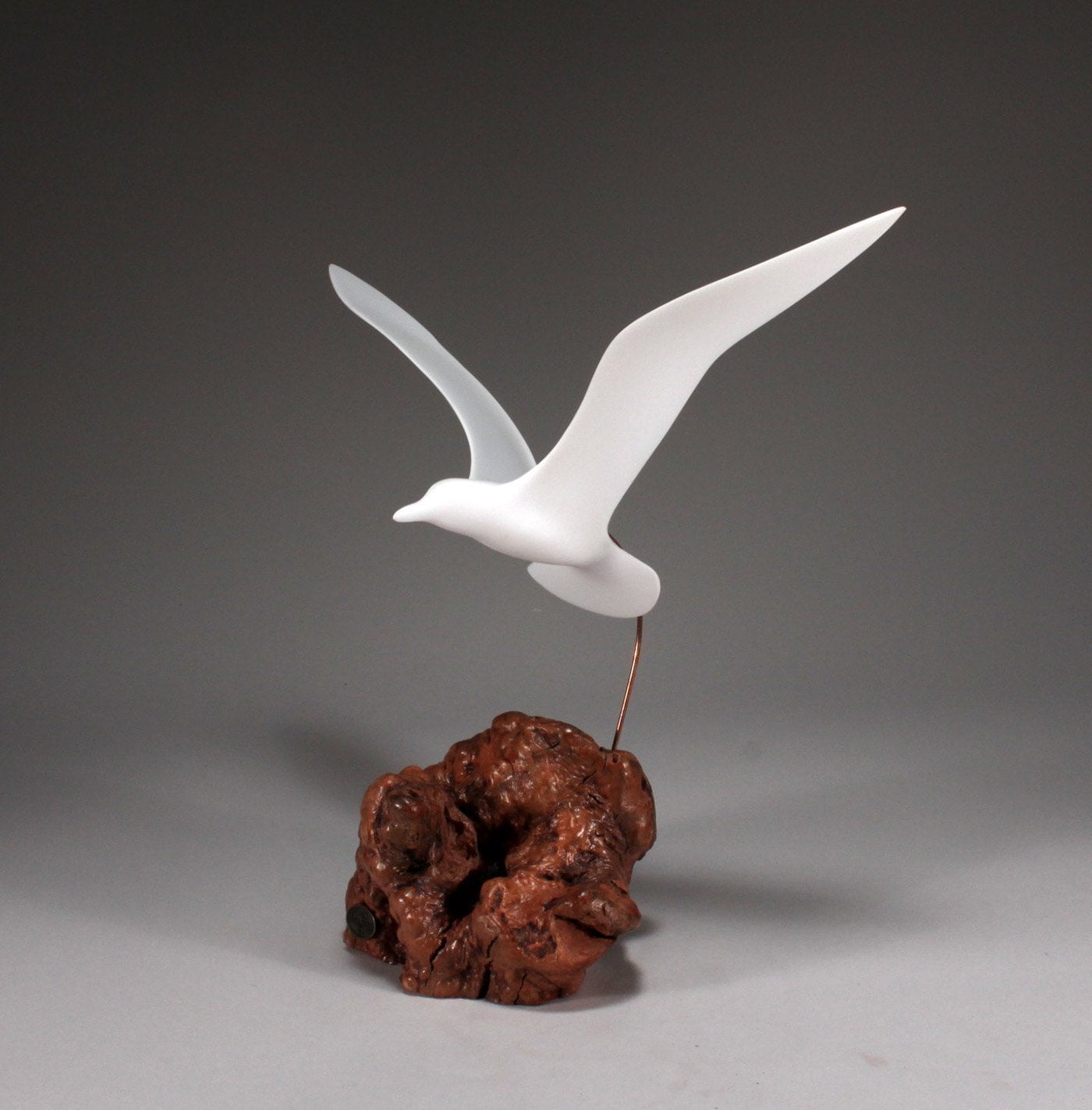 Seagull Sculpture by John Perry "Wings up" Style on Burl 14 in wingspan ...