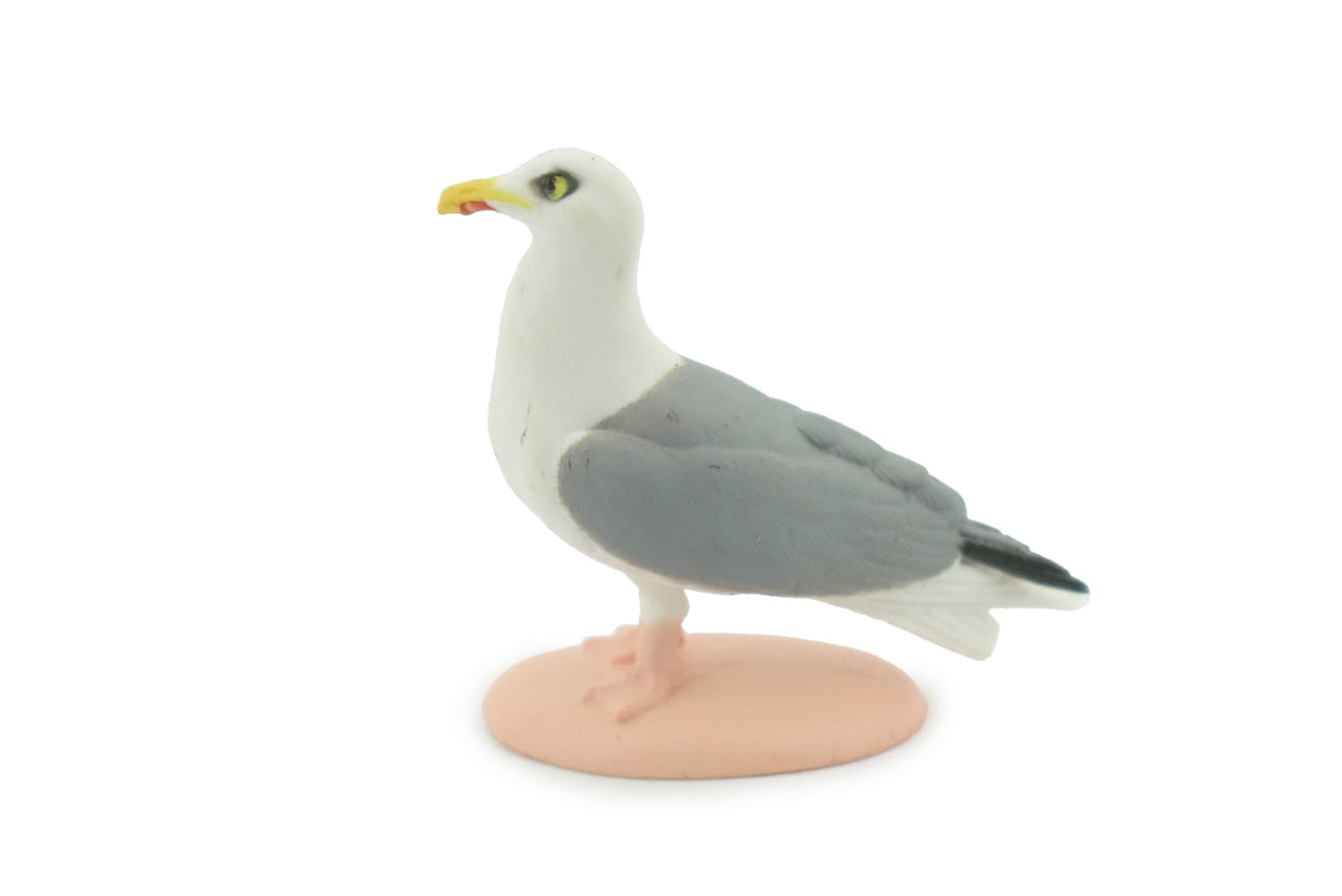 Seagull, Sea Gull, Hand Painted, Educational, Rubber Bird, Realistic ...