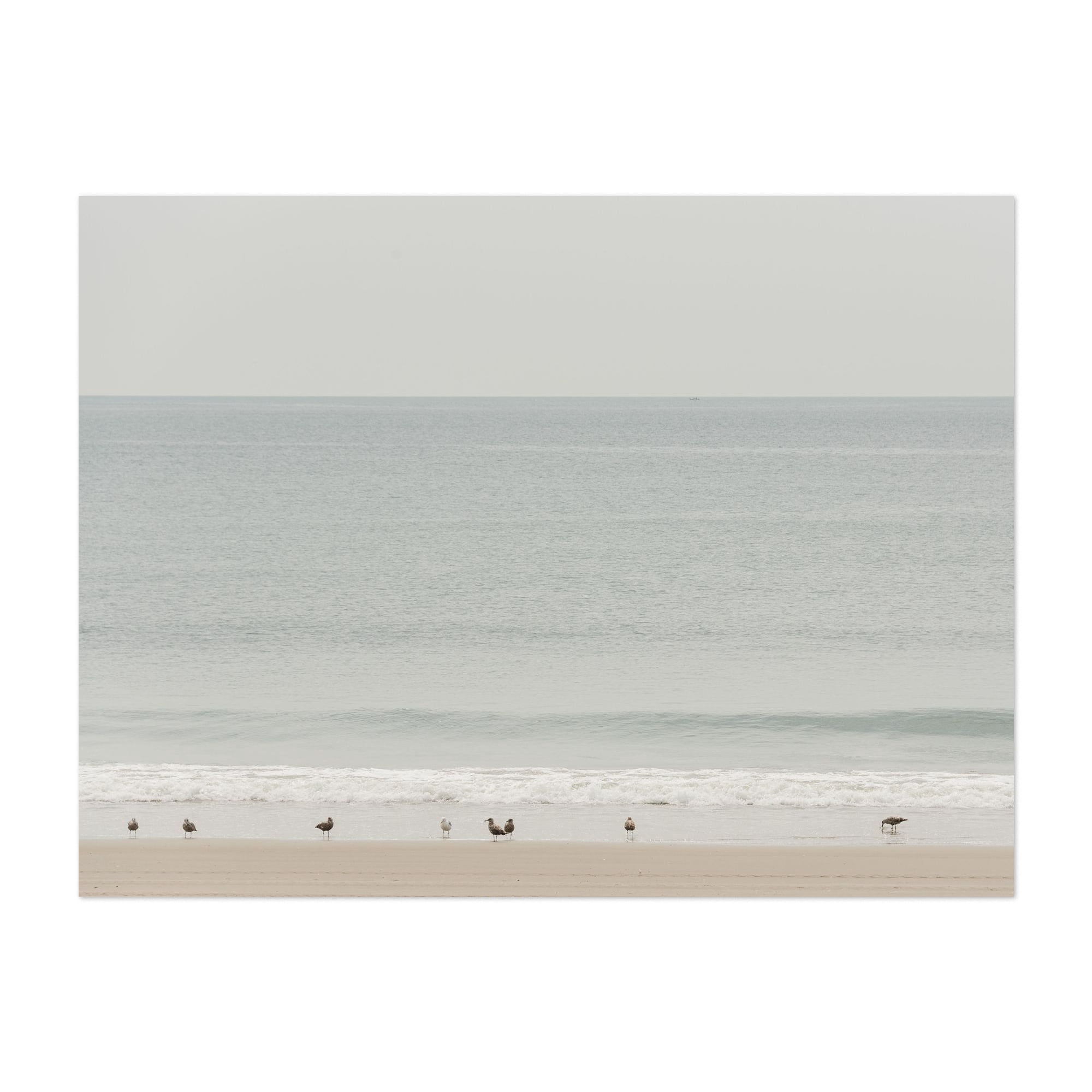 Seagulls at the Rockaways - Queens New York Photography Beach Ocean ...