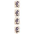 Seahorse Print Stone Beads, 20mm by Bead Landing™ - Walmart.com
