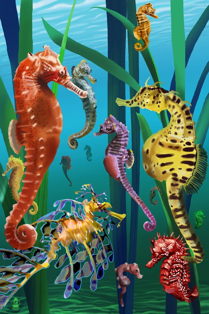 Seahorses (12x18 Wall Art Poster, Room Decor) - Walmart.com