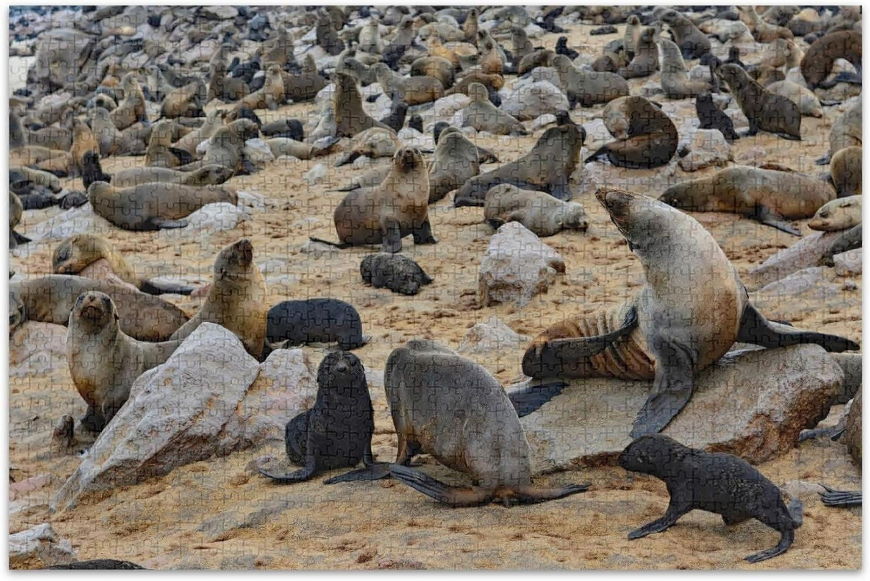 Seal Flock Jigsaw Puzzle 500 Pieces Wooden Jigsaw Puzzles for Adults ...