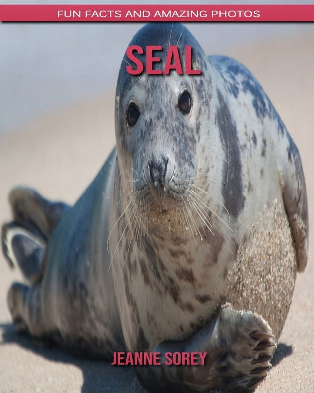 Seal : Fun Facts and Amazing Photos (Paperback) - Walmart.com
