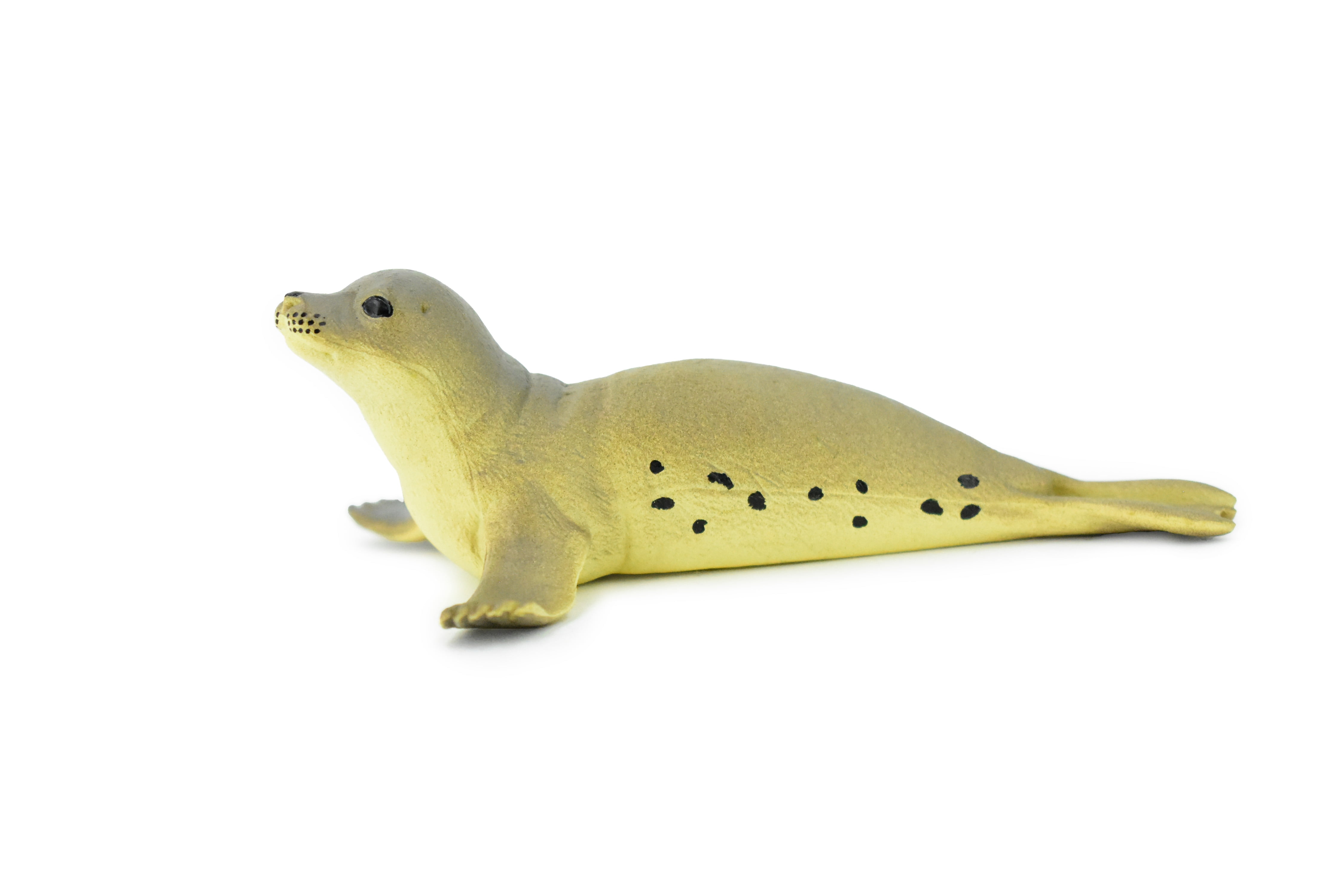 Seal, Fur Seal, Rubber Pinnipeds, Museum Quality, Hand Painted ...