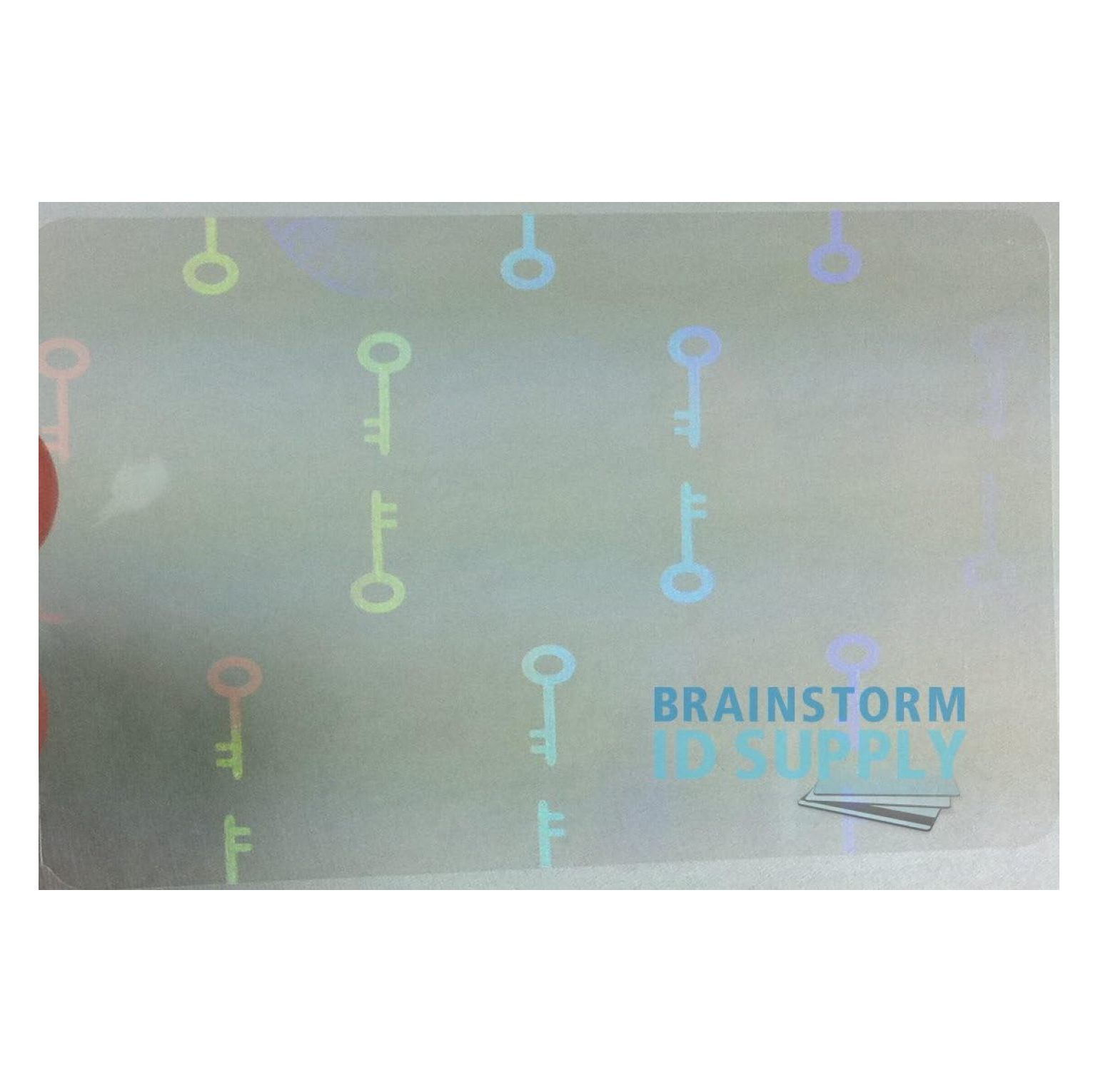 Seal and Key ID Hologram Pouches - 50 Pack - Walmart.com