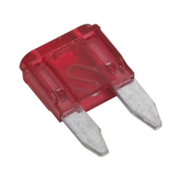 10 Amp Mini Fuse