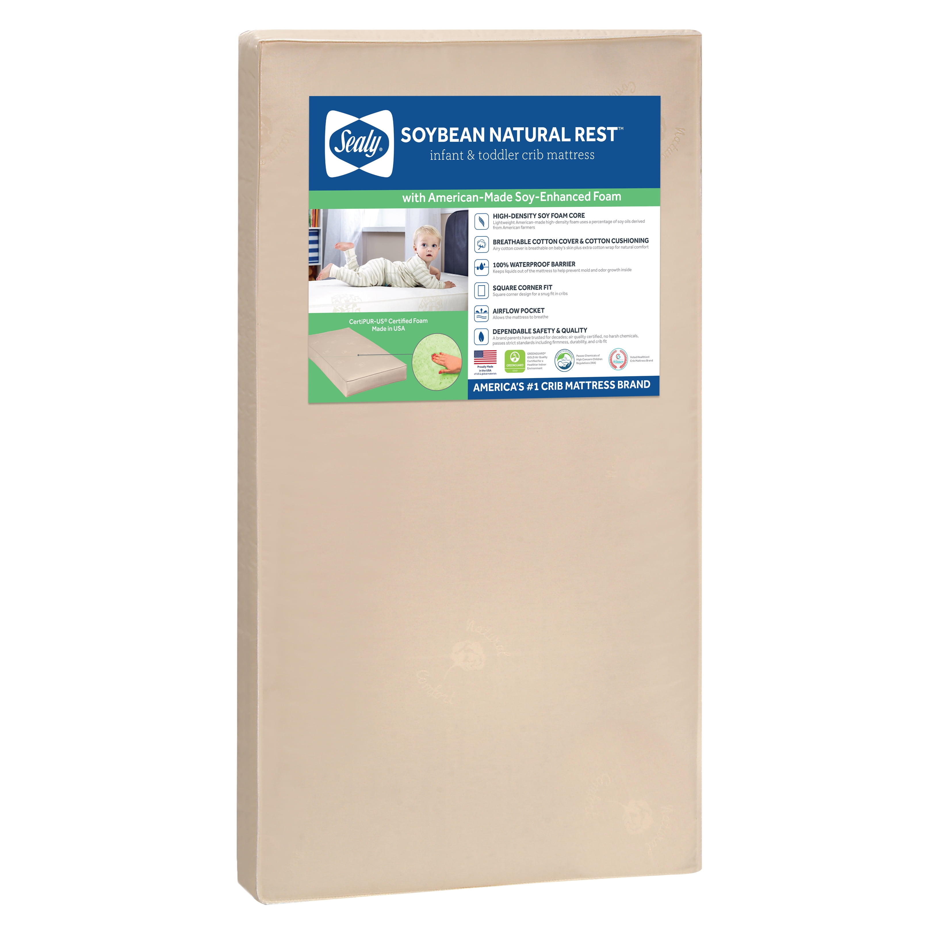 Sealy Soybean Natural Rest 2-Stage Premium Crib Mattress, Foam and ...