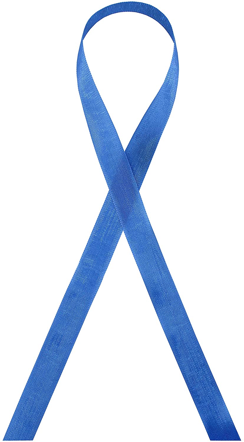 Seam Binding Rayon Ribbon 1/2-Inch x 100 Yards (081 - Delft Blue ...