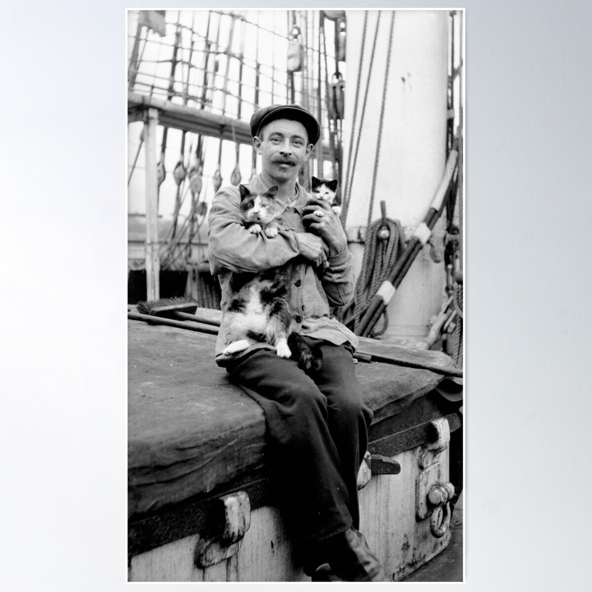 Seaman With A Ships Cat And Kitten Poster Wall Art, Modern Wall Decor ...