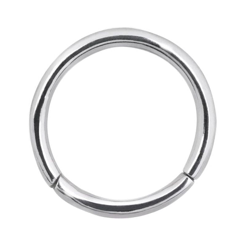 Seamless Hinged Rings 16G - 8mm Surgical Steel - Walmart.com