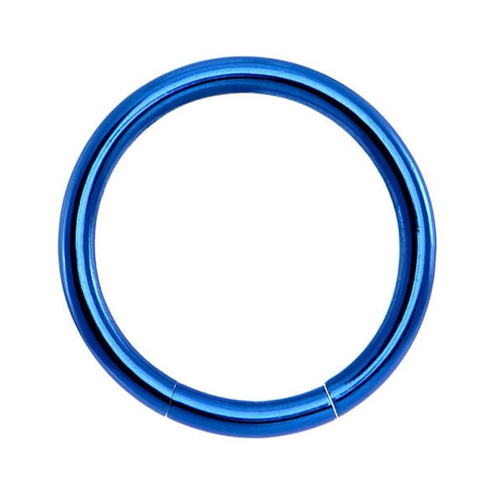 Seamless Hinged Rings 16G - 8mm Surgical Steel - Walmart.com
