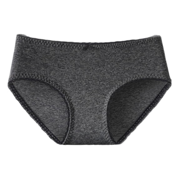 Seamless Panties for Women - No Show Underwear with Extended Gusset ...