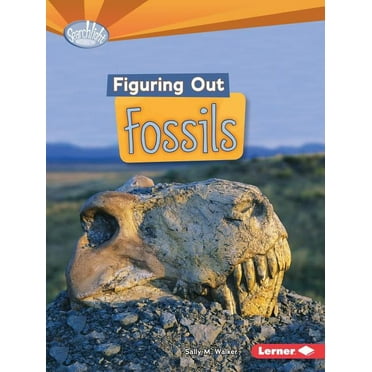 Science Storybooks Fossils Tell Stories: Fossils, (Paperback) - Walmart.com