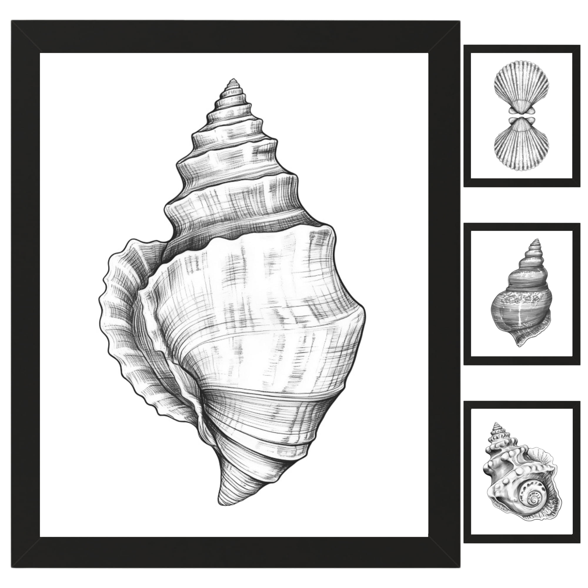 TheNameStore Seashell Bathroom Wall Art, Coastal Beach Photo Picture ...