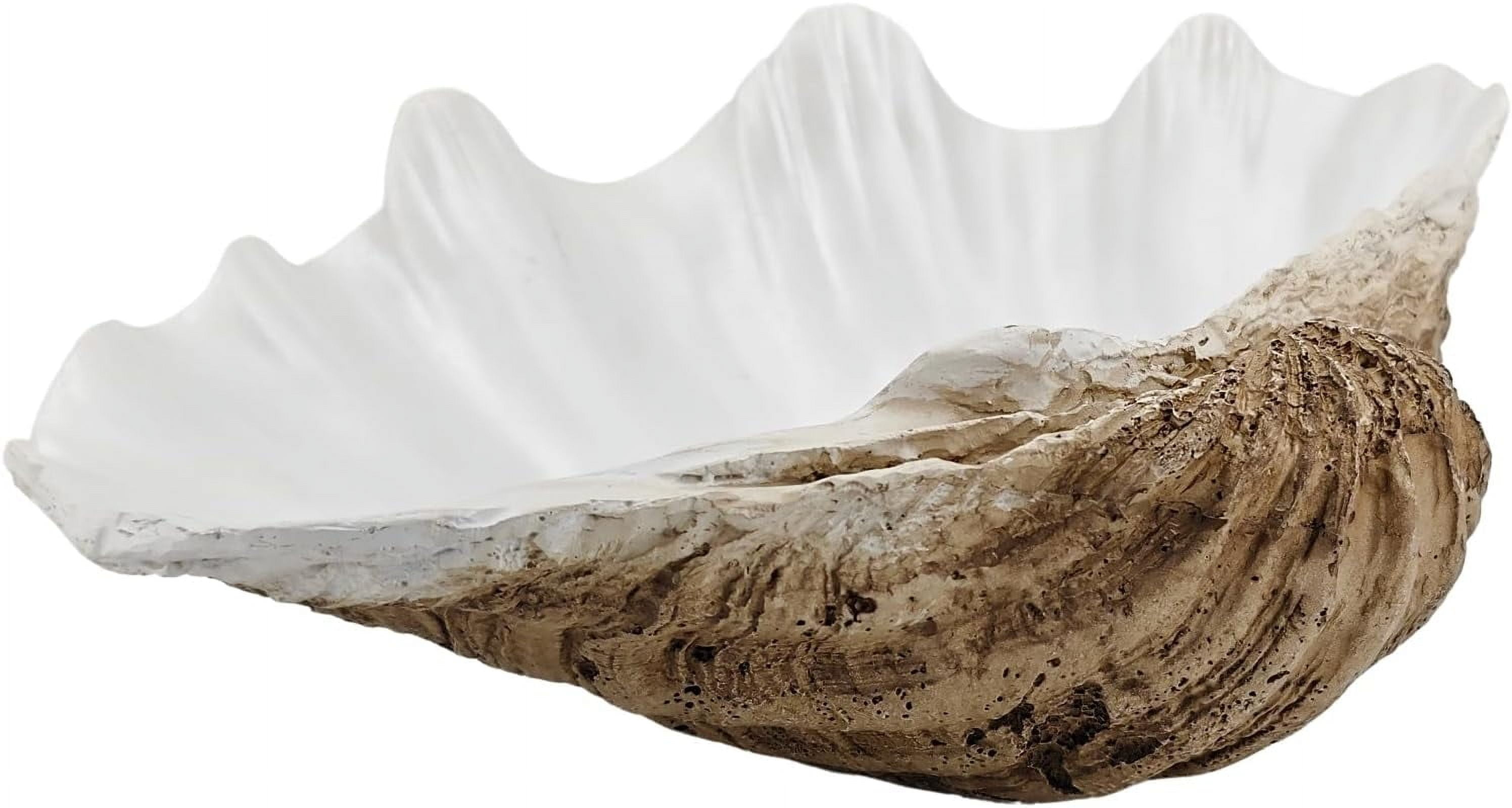 Seashell Bowl Decor Resin Large Natural Weathering Clam Shell with ...