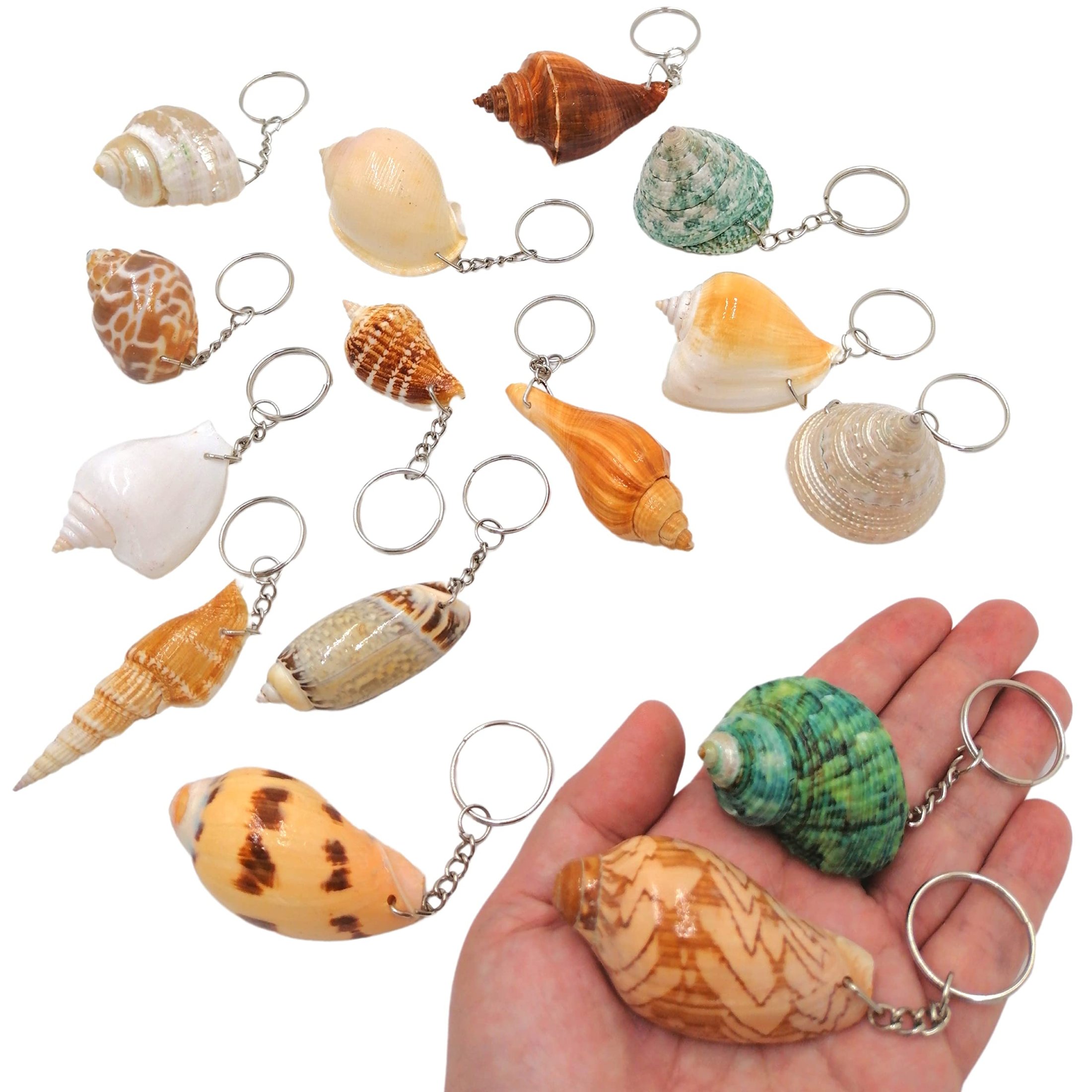 Seashell Charm Keychains - 15 Assorted Natural Keyrings for Parties ...