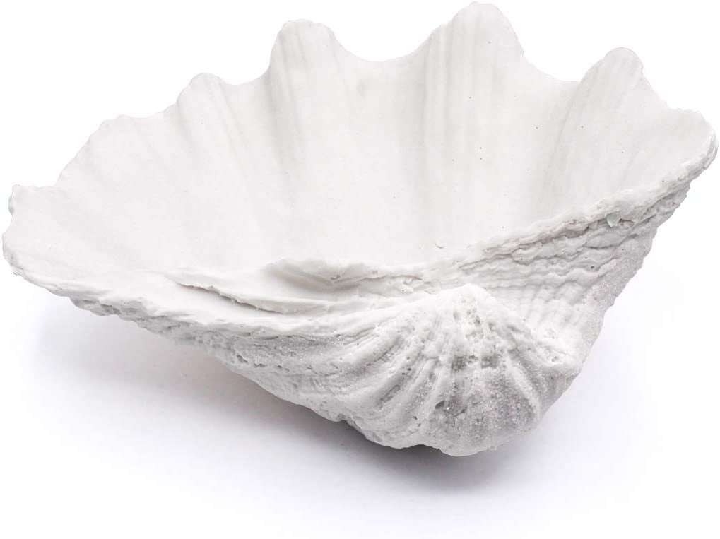 Seashell Decorative Bowl Clam Shell Bowl for Coastal Nautical Home ...