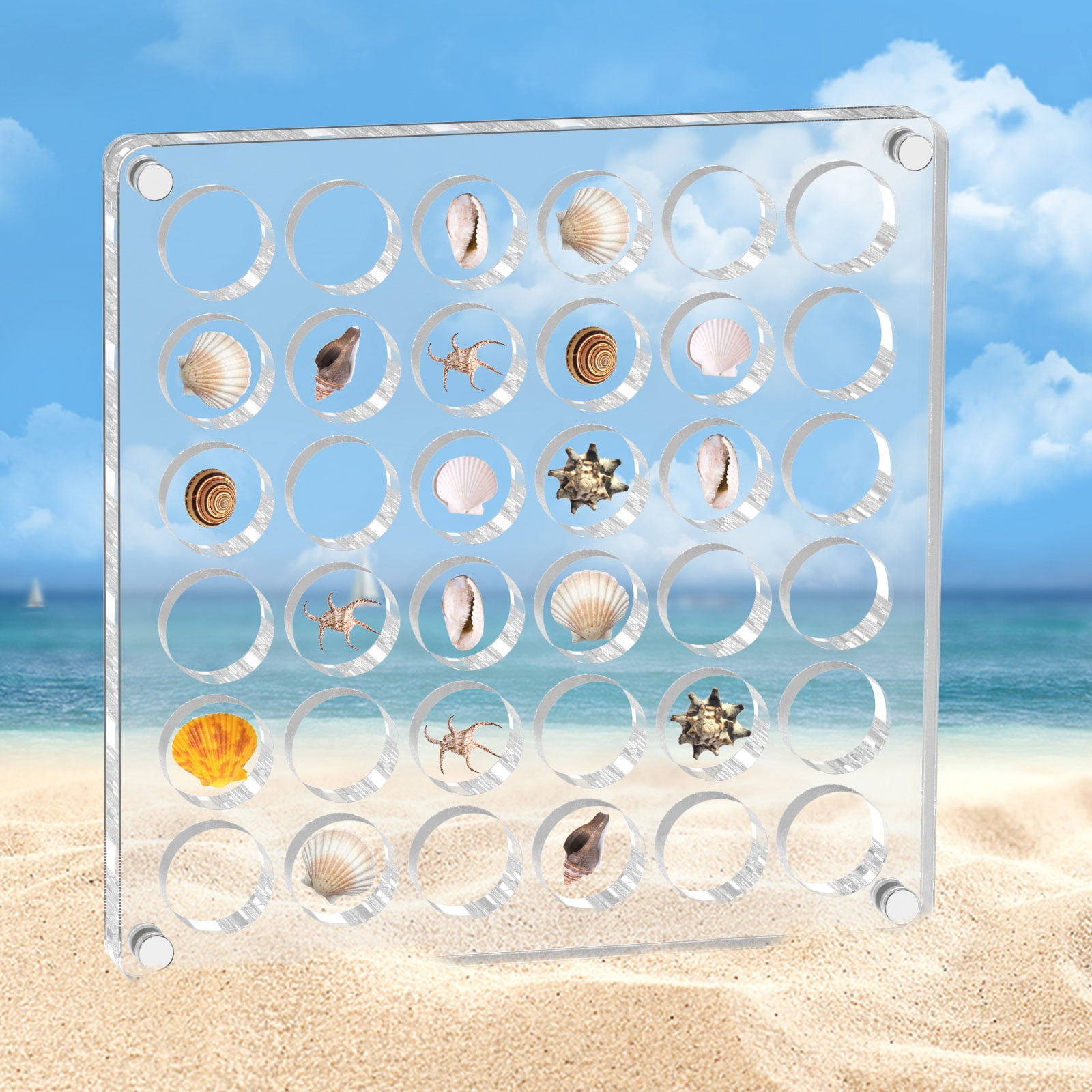 Seashell Display Box Magnetic Seashell Storage Case Clear Acrylic ...