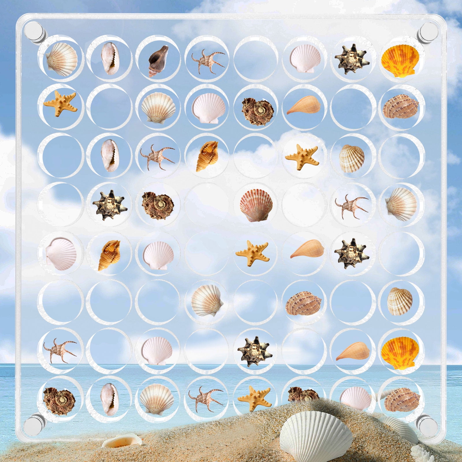 Seashell Display Box Magnetic Seashell Storage Case Clear Acrylic ...