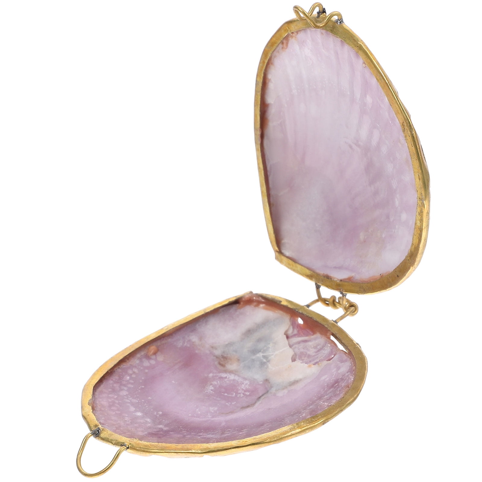 Seashell Display Case Figurines Pearl Clam Storage Box Child Travel ...