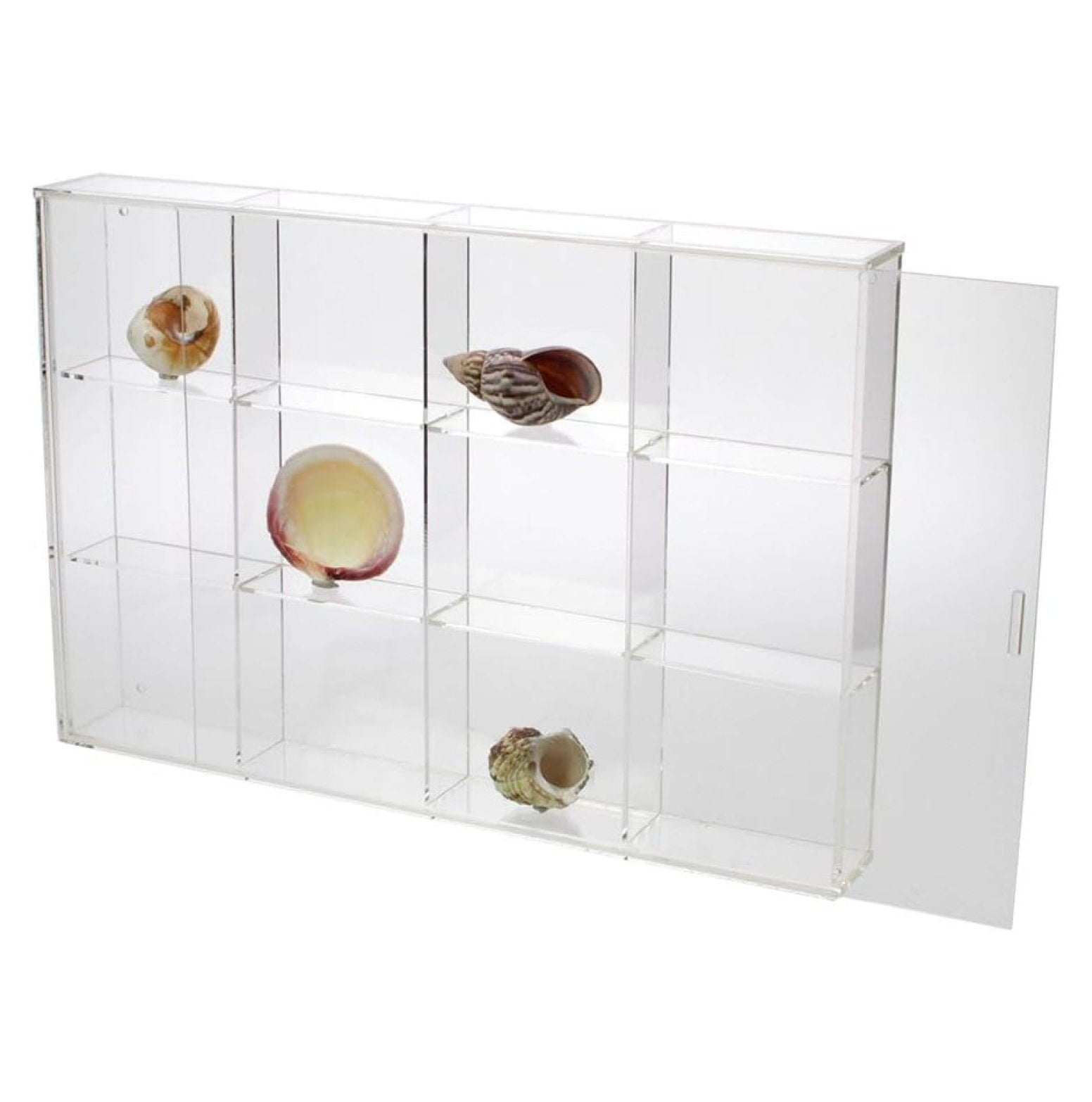 Seashell Display Case - Large 12 Compartments - Walmart.com