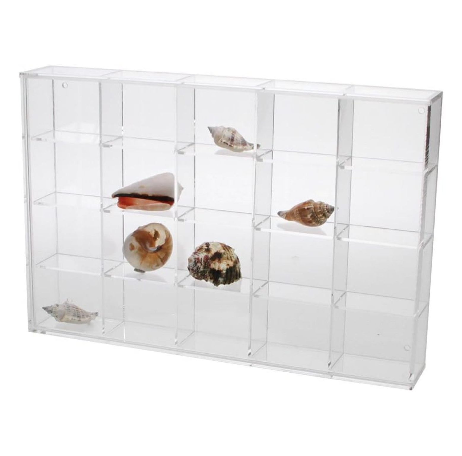 Seashell Display Case - Medium 20 Compartments - Walmart.com