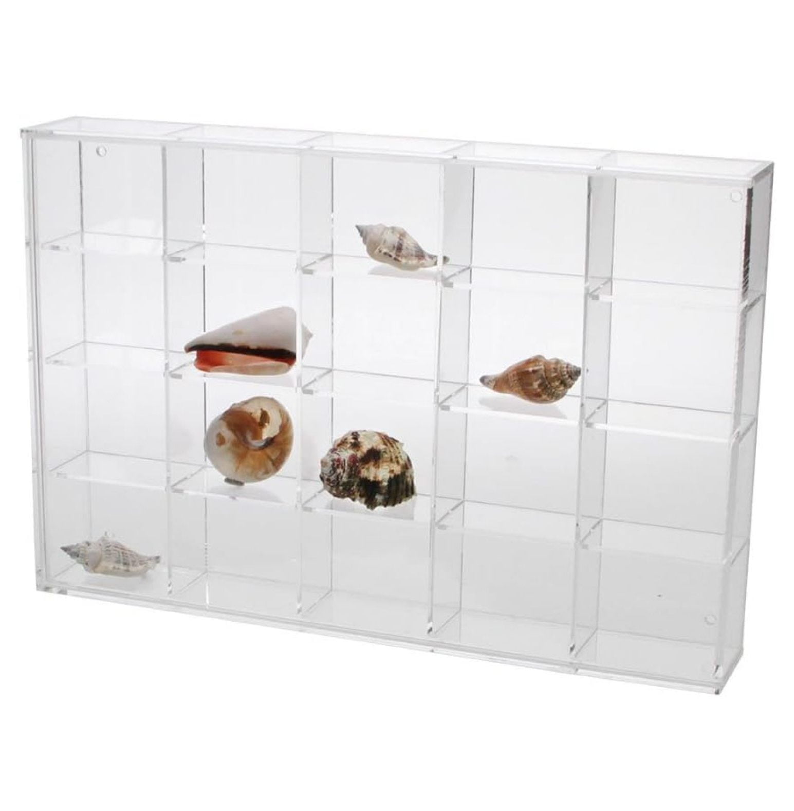 Seashell Display Case - Medium 20 Compartments - Walmart.com