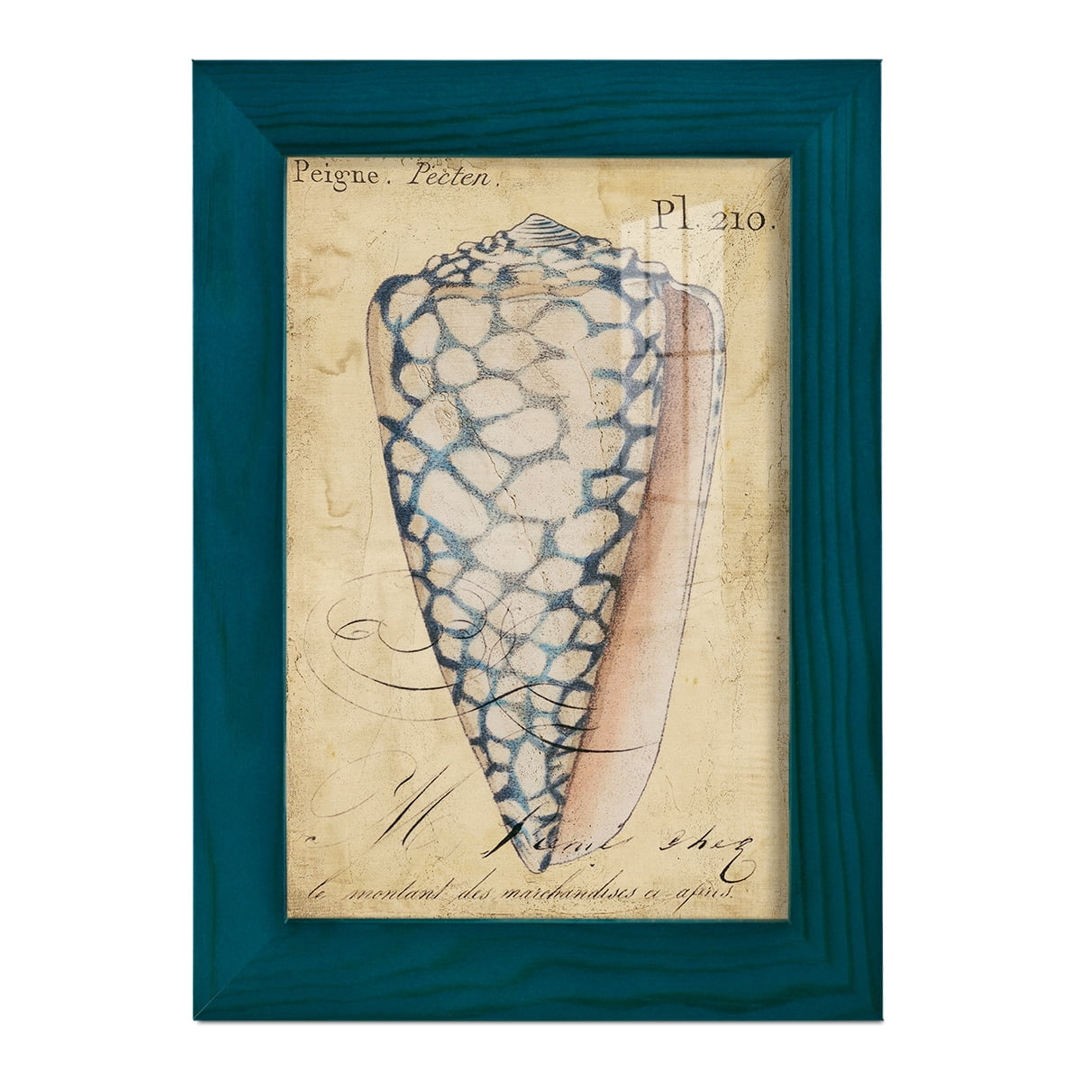 Seashell Ephemera IV - Framed Print w/glass - Ocean Blue - Walmart.com