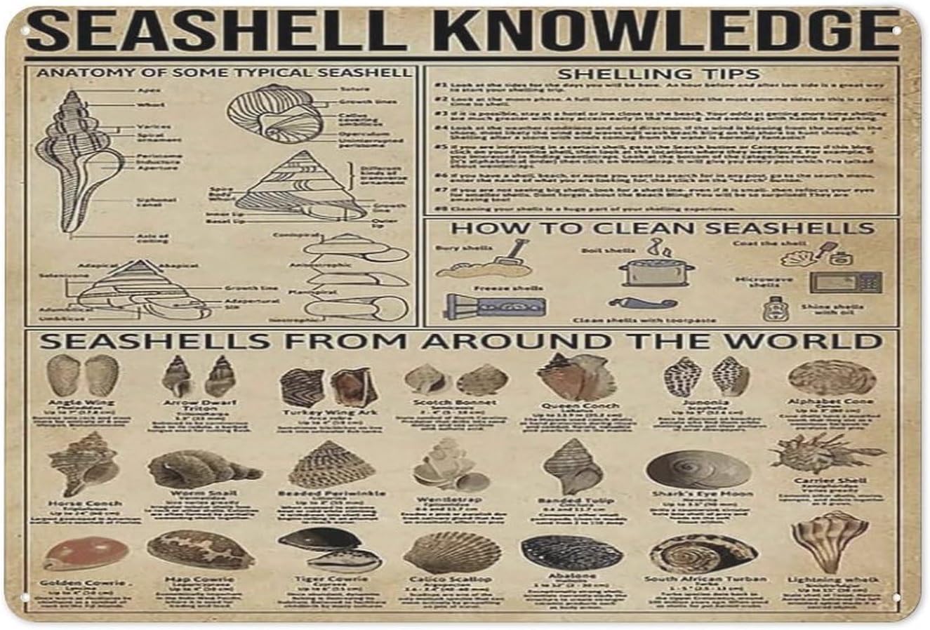 Seashell Knowledge Metal Poster Seashells From Around The World Metal ...