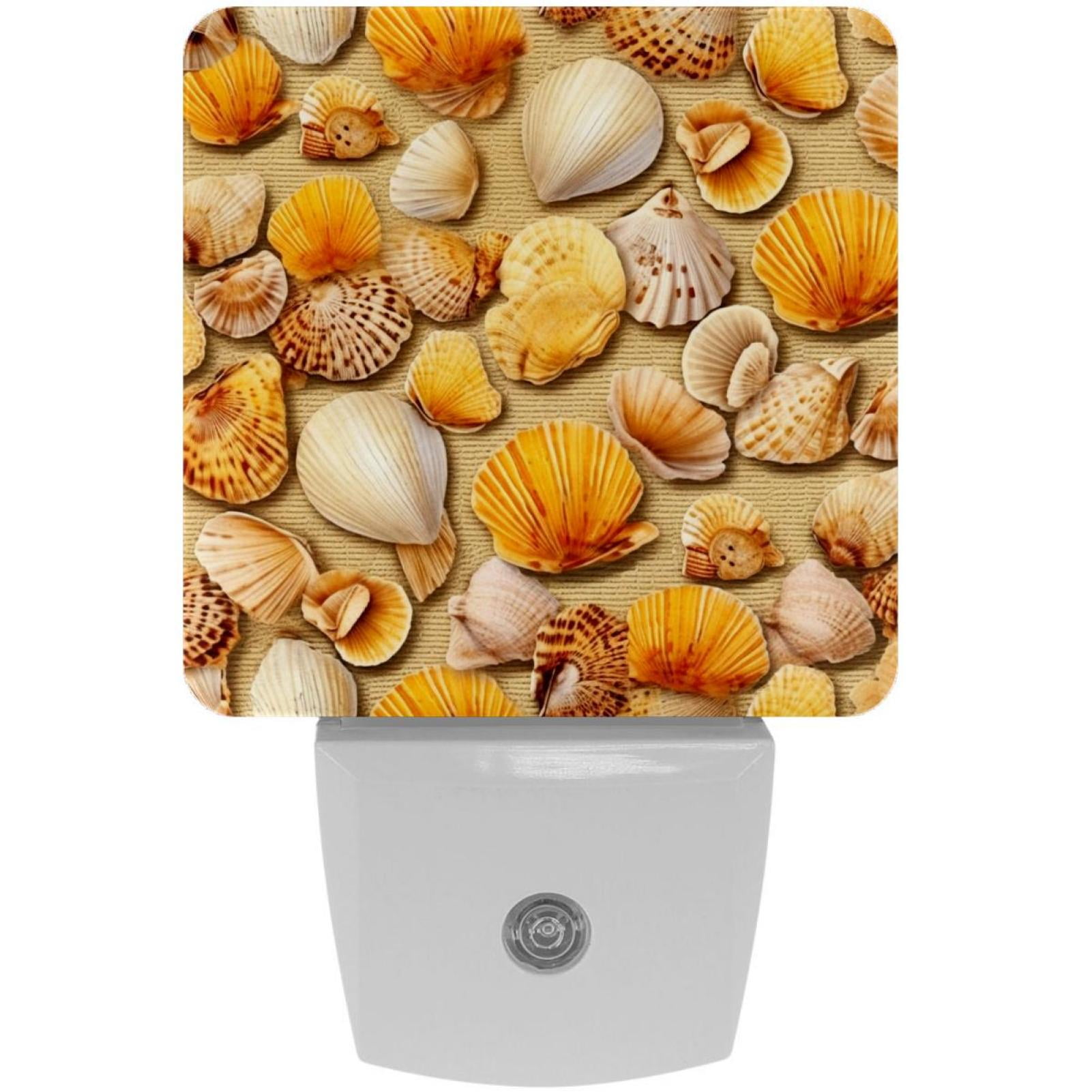 Seashell LED Square Night Light - Compact and Energy Efficient ...