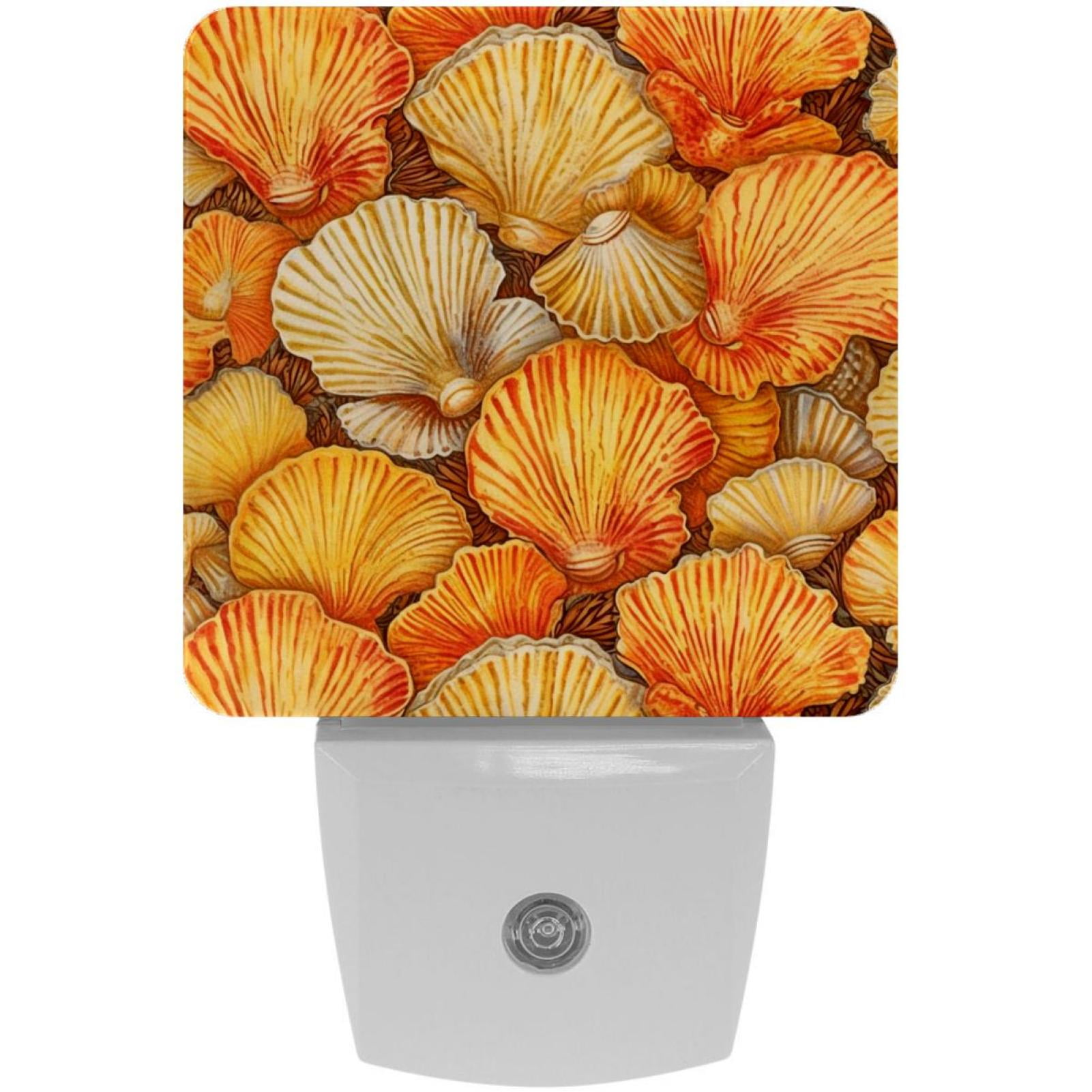 Seashell LED Square Night Lights for a Bright and Stylish Ambiance ...