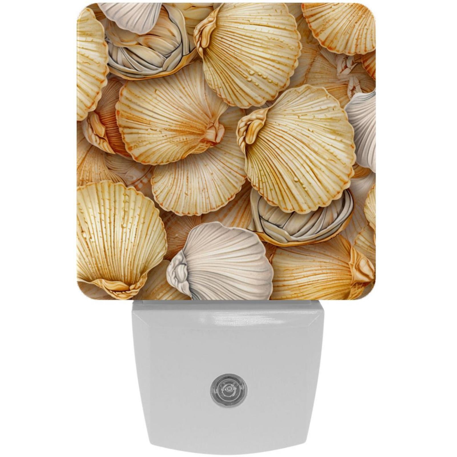 Seashell LED Square Night Lights for a Bright and Stylish Ambiance ...