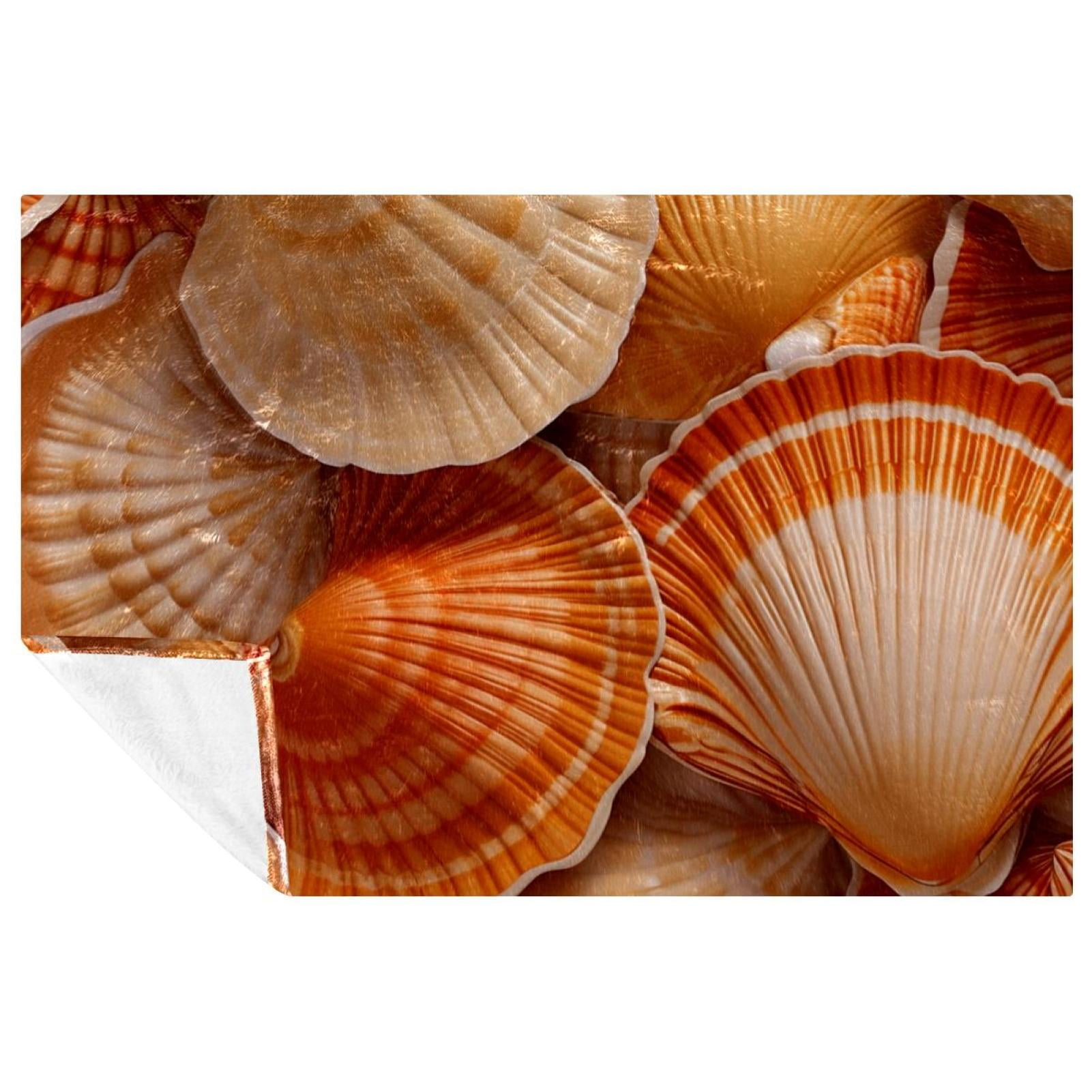Seashell Luxurious Microfiber Throw Blanket: Soft, Warm, and ...