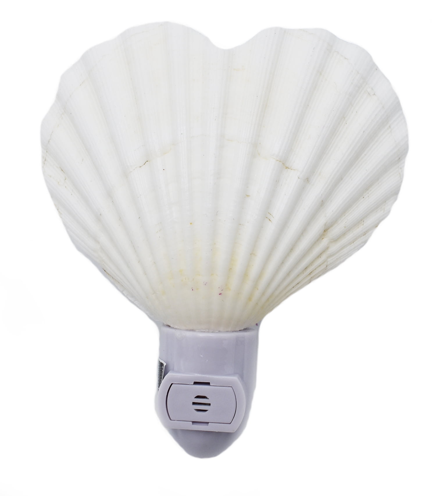 Seashell Night Light Real Heart Shaped Scallop Shell Beach Decor w ...