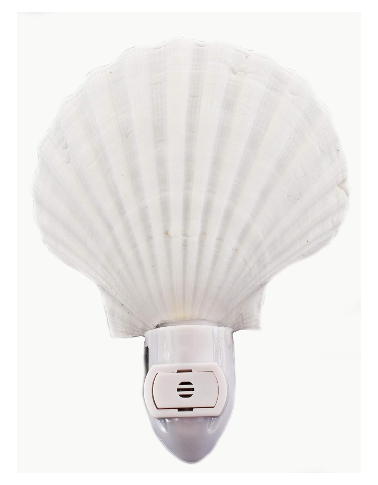 Seashell Night Light Real White Scallop Shell Beach Decor w. Light ...