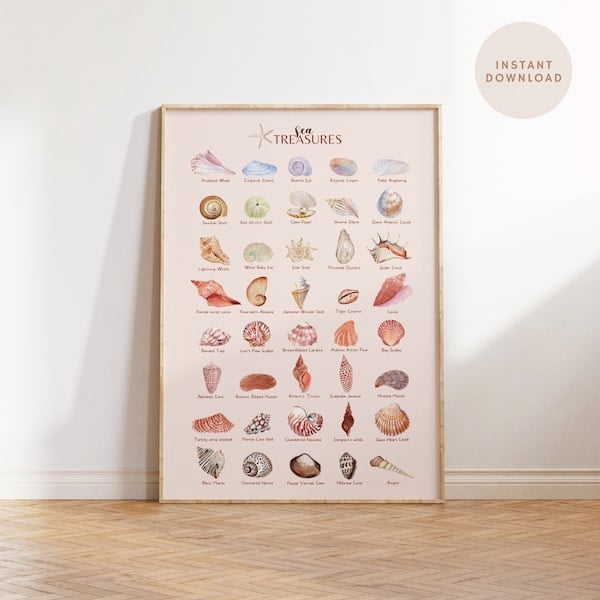 Seashell Print, Seashell Collection With Names, Seashell Wall Art ...
