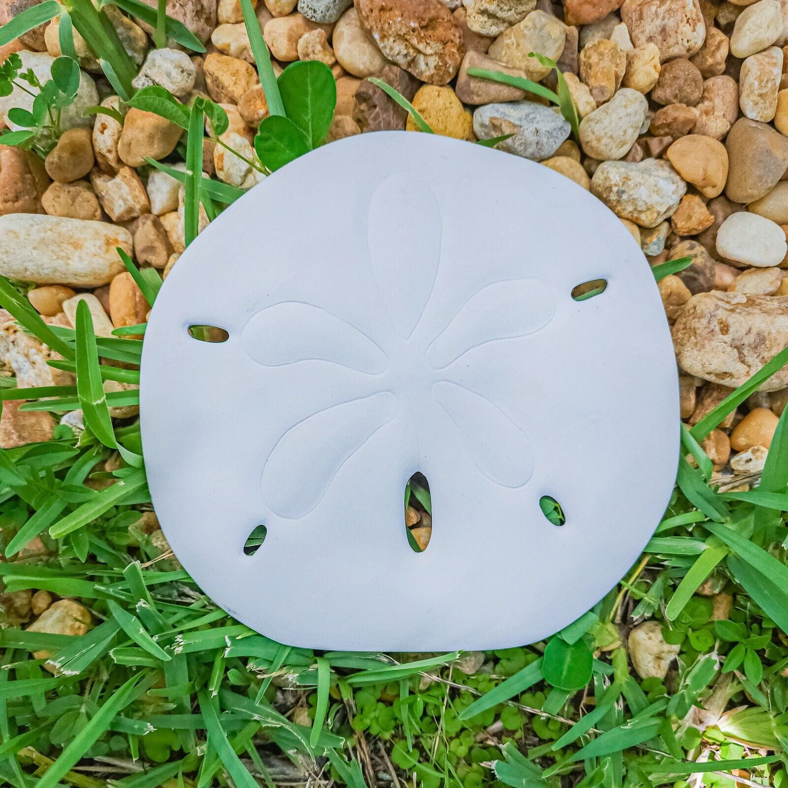 Seashell Sand Dollar 6" IN STOCK Ceramic Bisque Ready To Paint Pottery ...