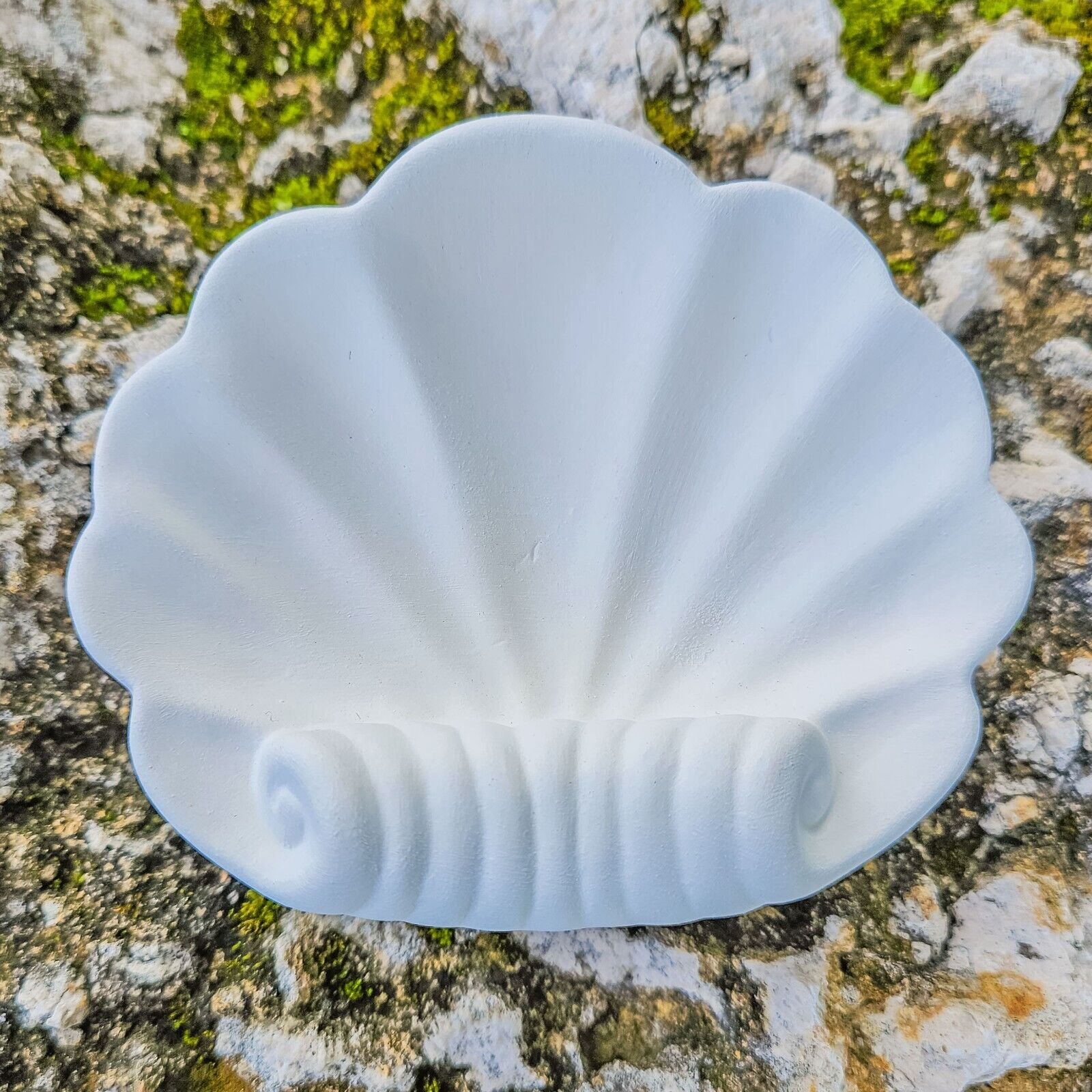 Seashell Soap Dish 4.3" IN STOCK Ceramic Bisque Ready To Paint Pottery ...