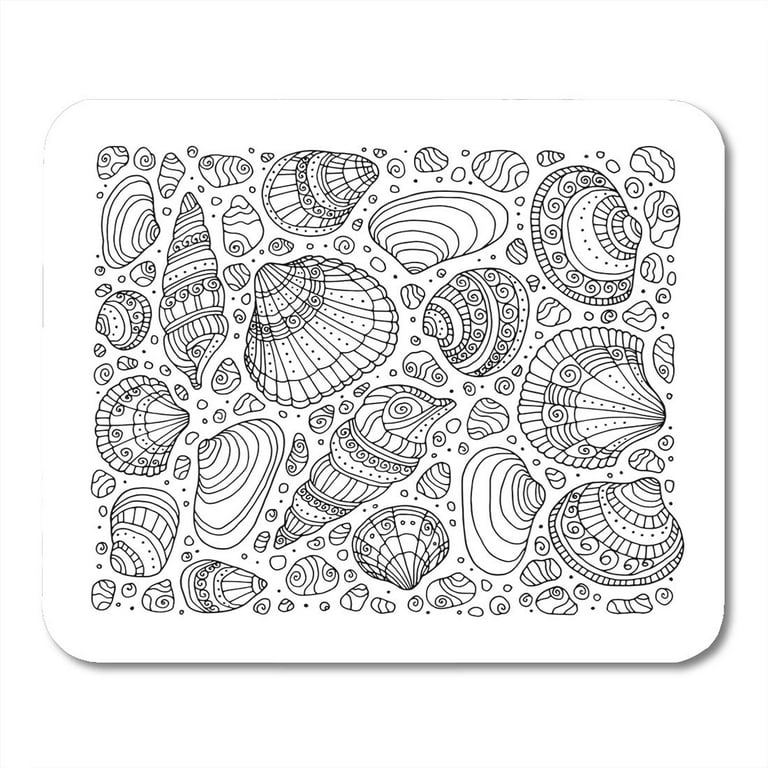 seashell coloring book