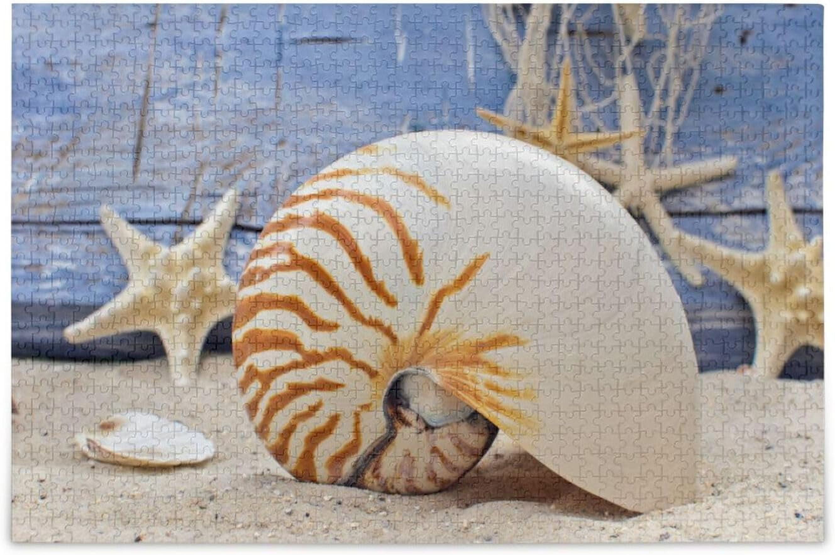 Seashell and Starfish Jigsaw Puzzle 1000 PiecesDie-Cut Puzzle Pieces ...