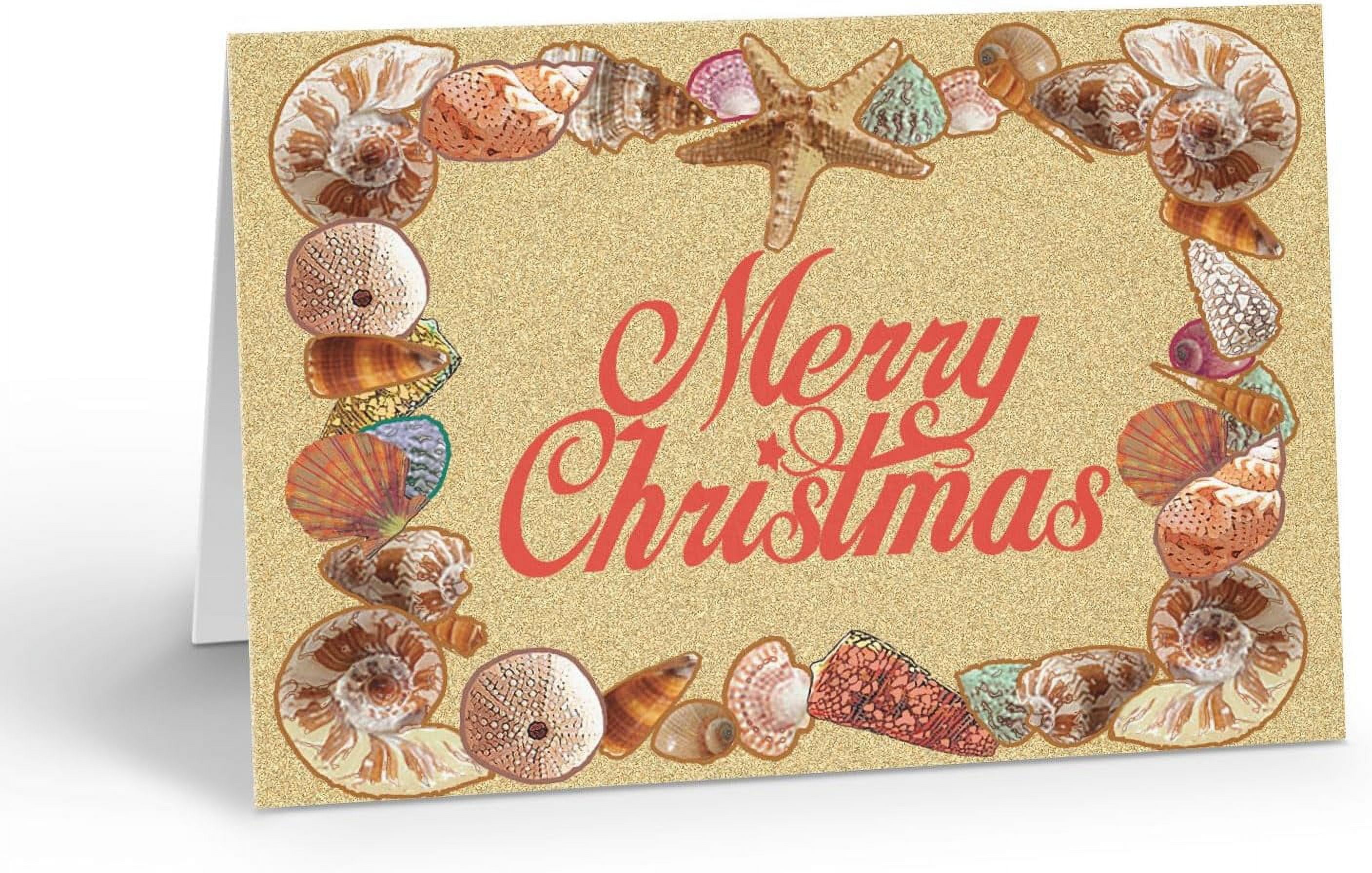 Seashells At The Beach Christmas Cards Beach Christmas Cards 12 Boxed ...