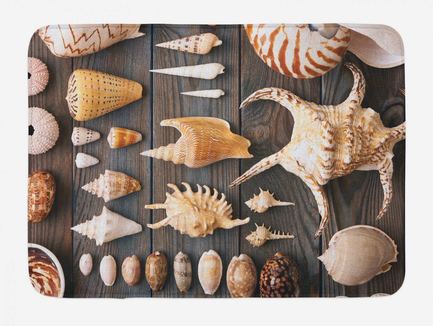 Seashells Bath Mat, Seashell Background Still Life Spiral Wooden Table ...