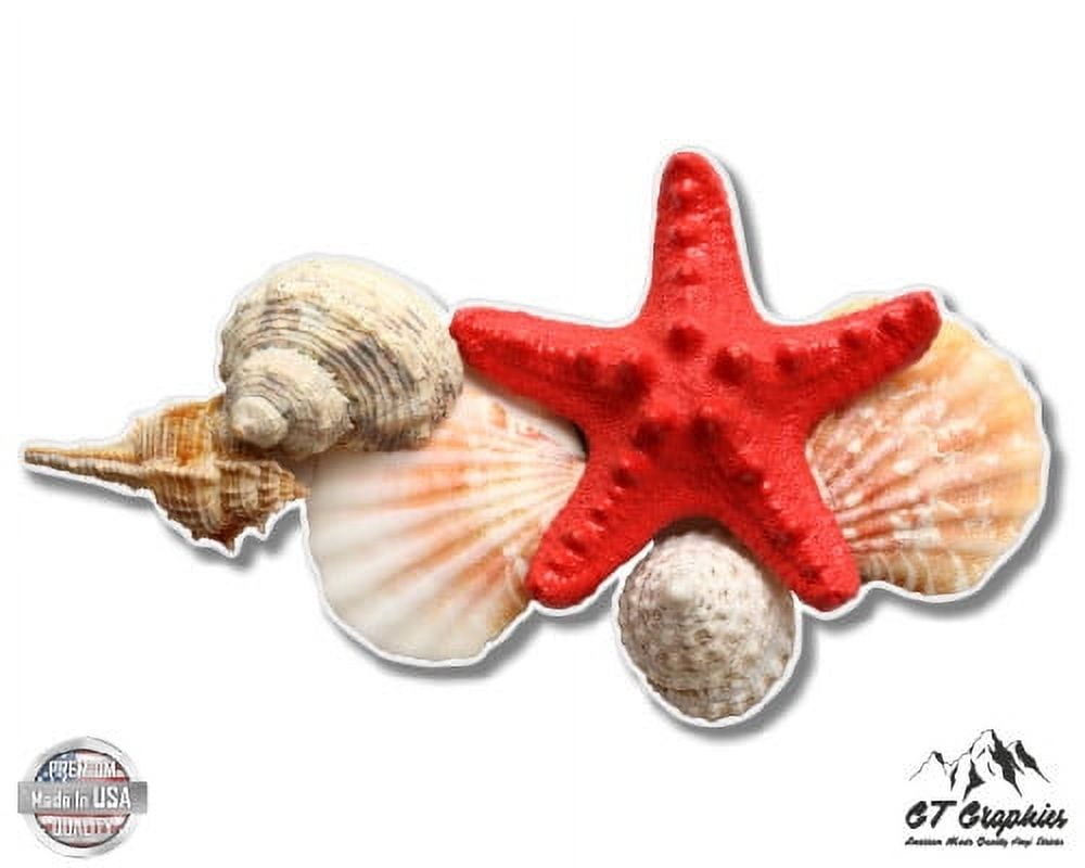 Seashells Collection Ocean Beach Theme - 8" Vinyl Sticker - For Car ...